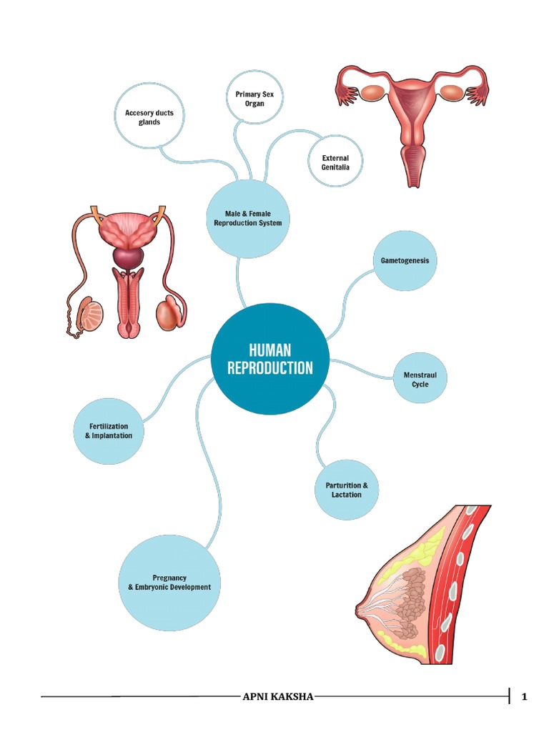 How Do Organisms Reproduce | PDF | Reproduction | Birth Control