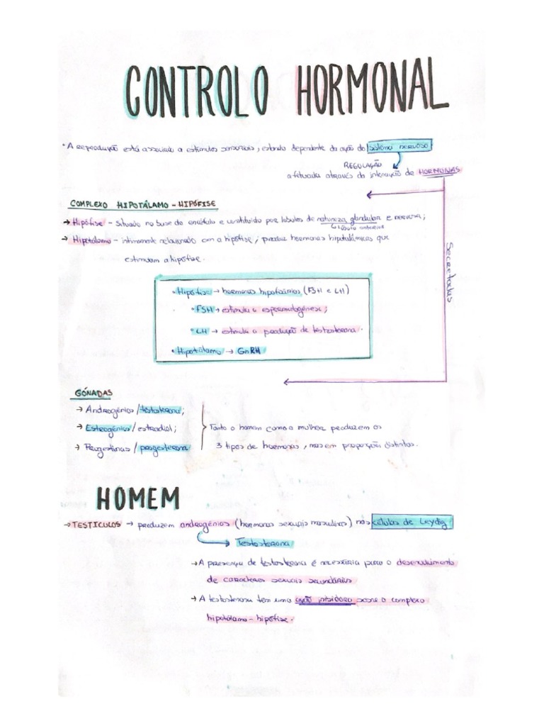 6 Controlo Hormonal | PDF