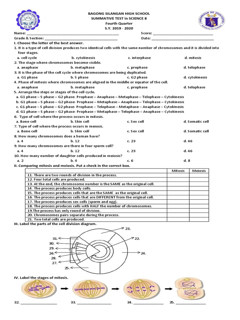 Summative Test in Cell | PDF | Mitosis | Biology