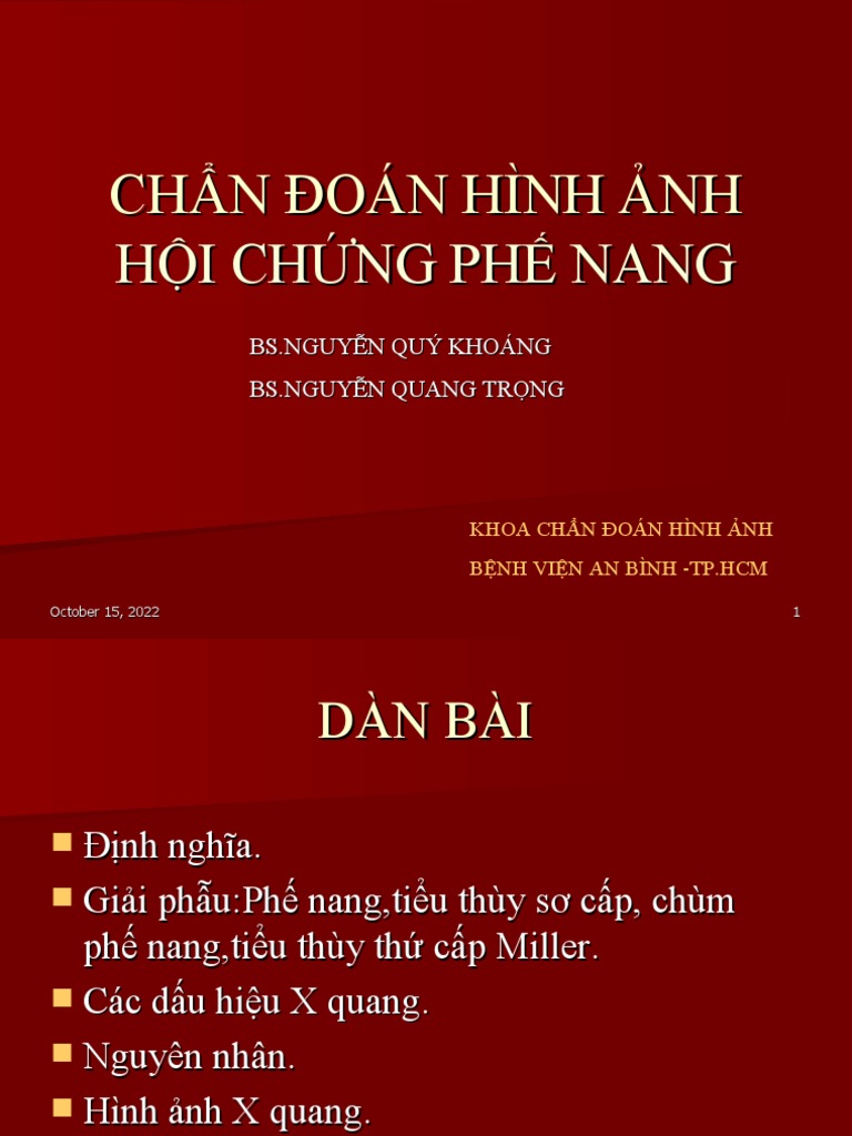 Chan Doan Hinh Anh Hoi Chung Phe Nang | PDF