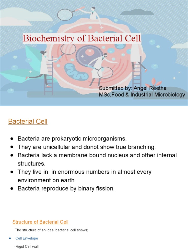Biochemistry of Bacterial Cell | PDF | Cell Membrane | Cell (Biology)