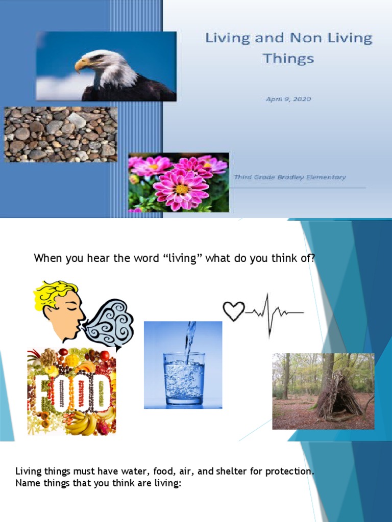 Living and Non Living Things | PDF