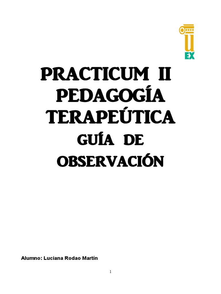 Practicum II | PDF