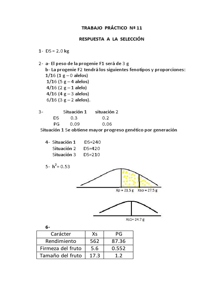 RESULTADOS TP N 11 GyM 2020 | PDF