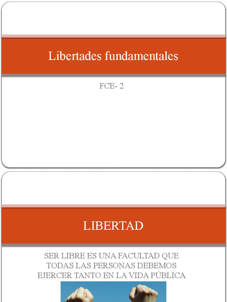 Libertades Fundamentales y Responsabilidad | PDF
