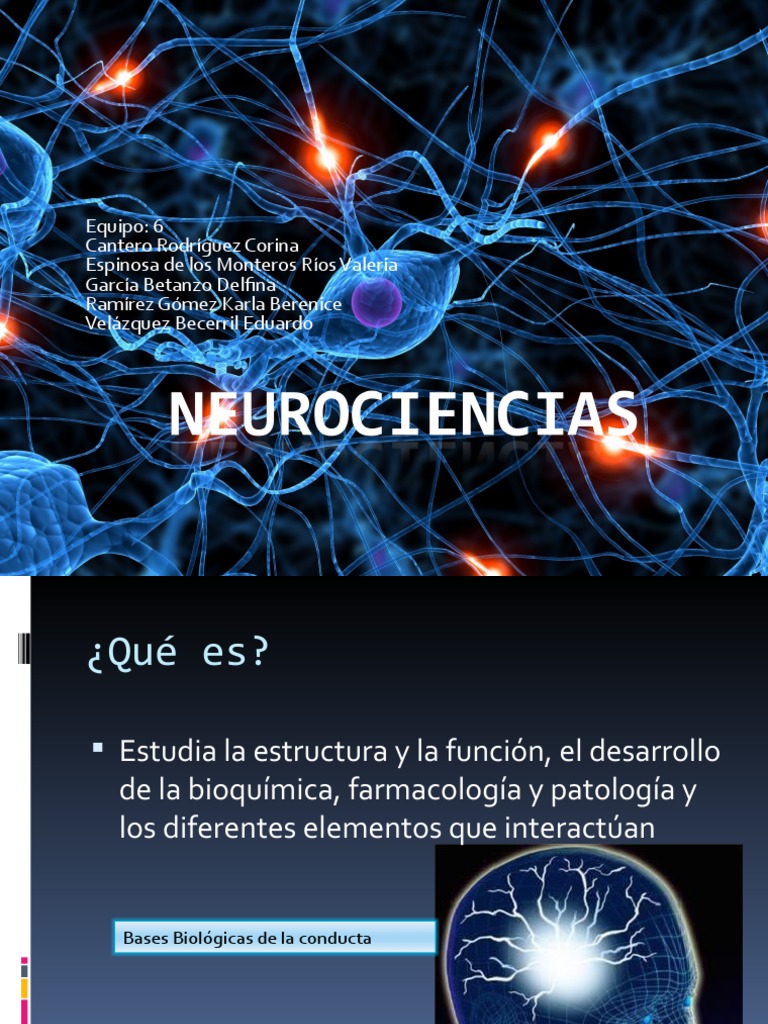 Neurociencias | PDF | Cerebro | Neurona