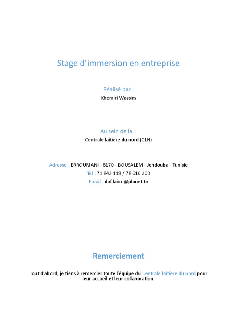 Rapport Stage Wassim | PDF | PHP | Internet