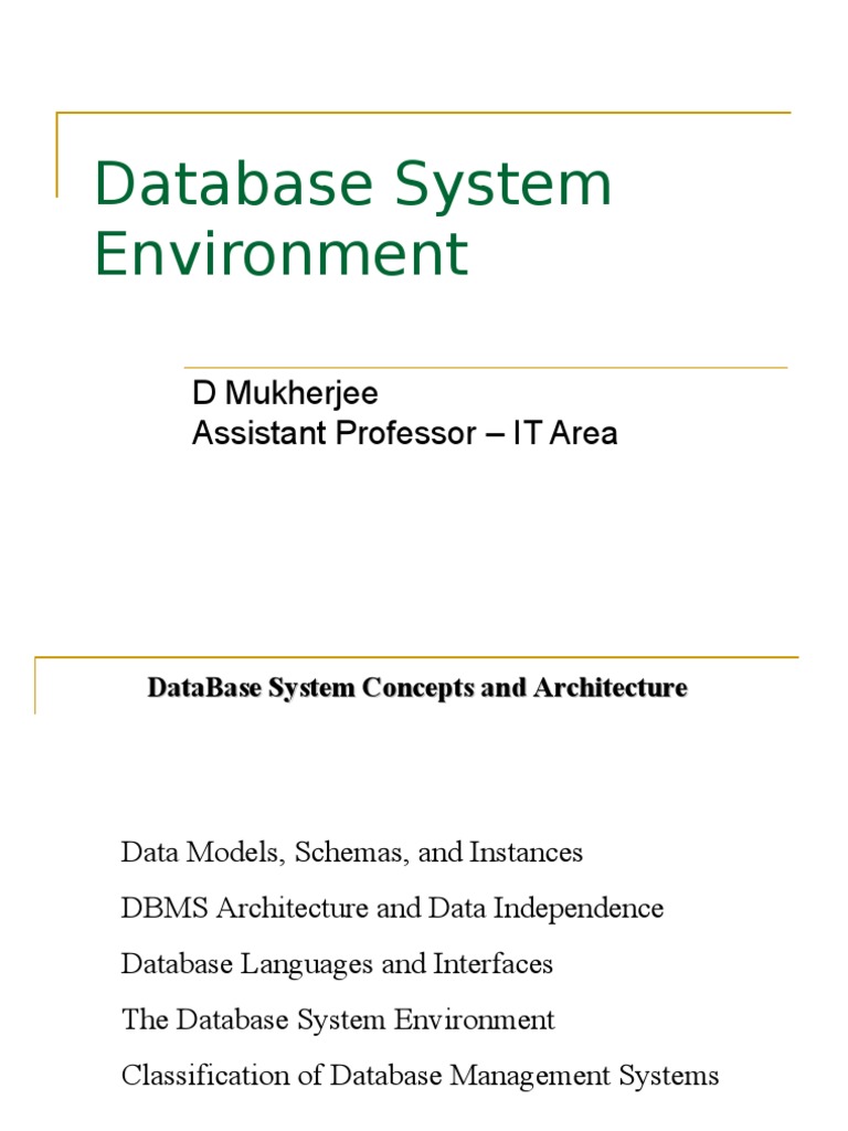 Database System Concepts Overview | PDF | Data Model | Databases