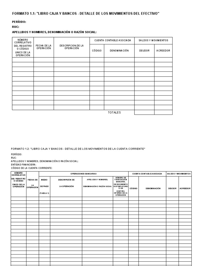 Formatos-Libro Caja y Bancos | PDF