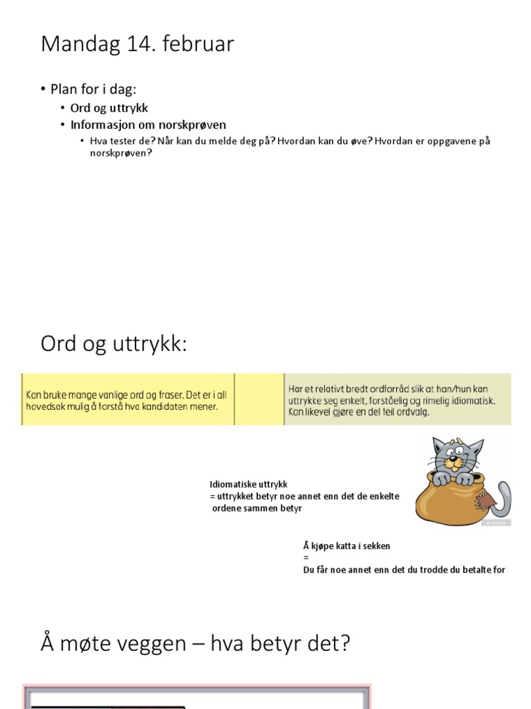 Uttrykk Og Info Om Norskprøven | PDF