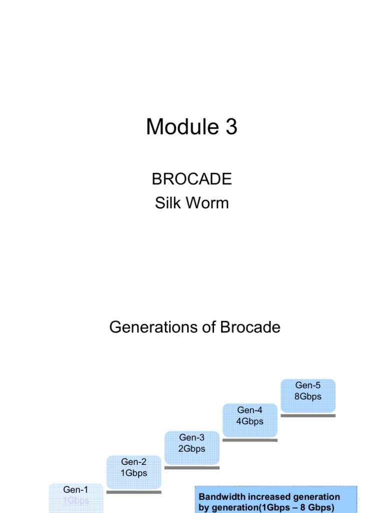 Brocade Silkworm | PDF | Operating System | Network Switch