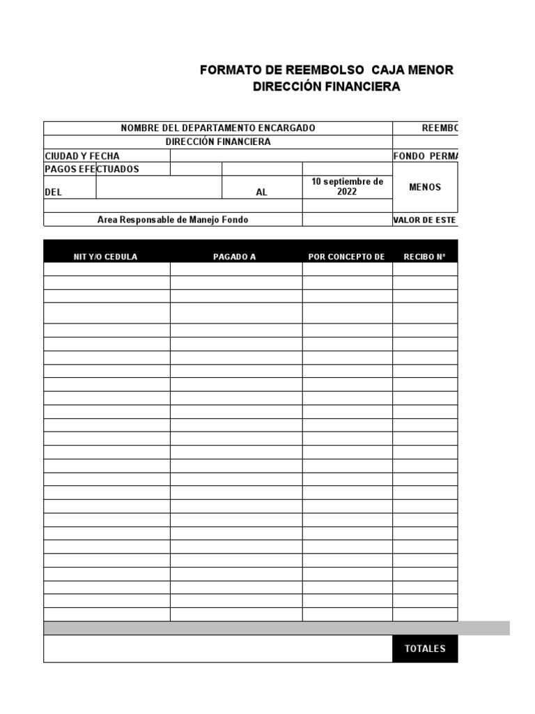 Formato de Caja Menor | PDF | Dinero | Economias