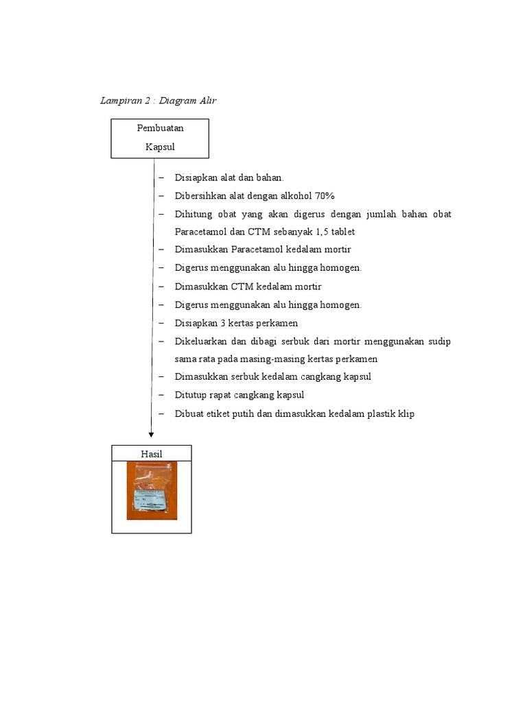 Diagram Alir Kapsul | PDF