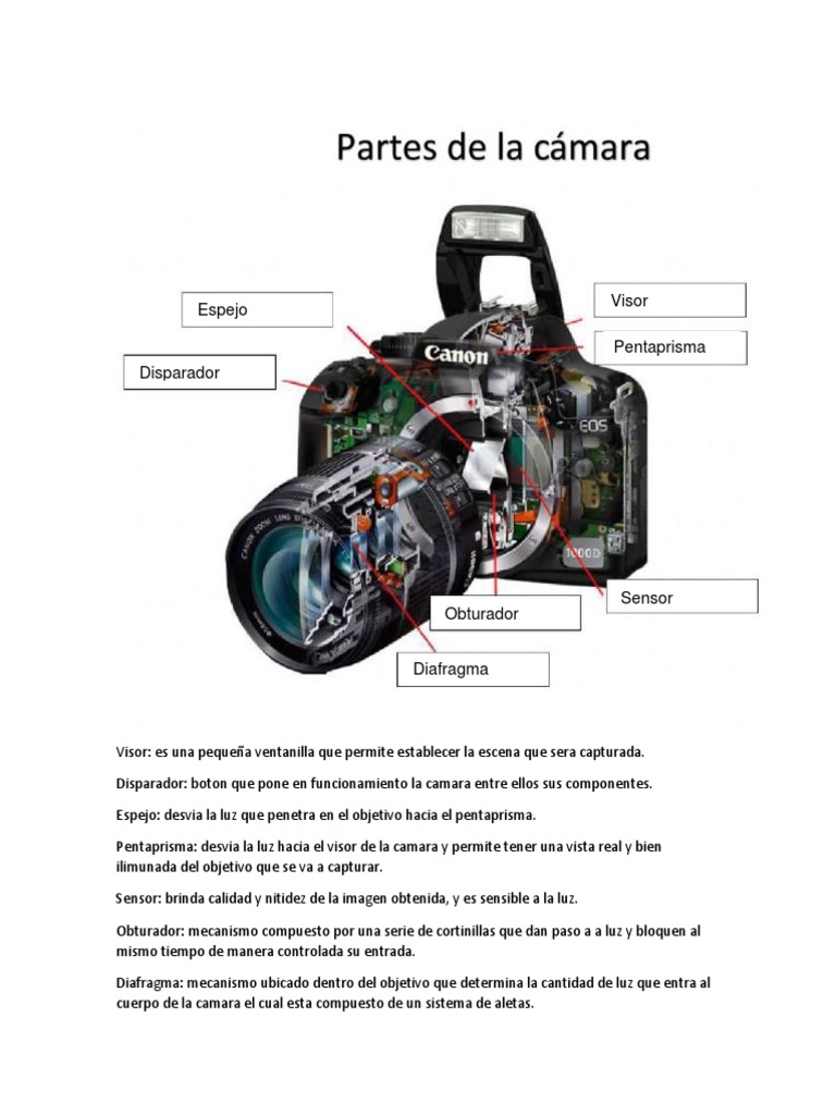 Partes de La Camara | PDF