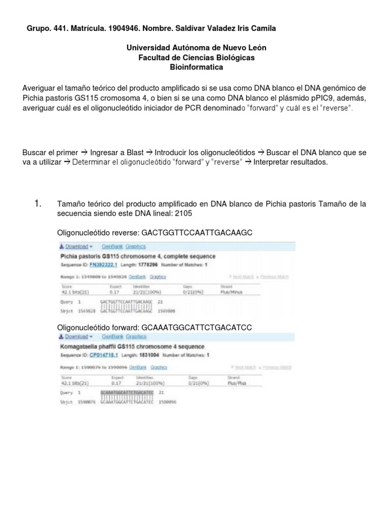 EA4 Saldívar Iris | PDF