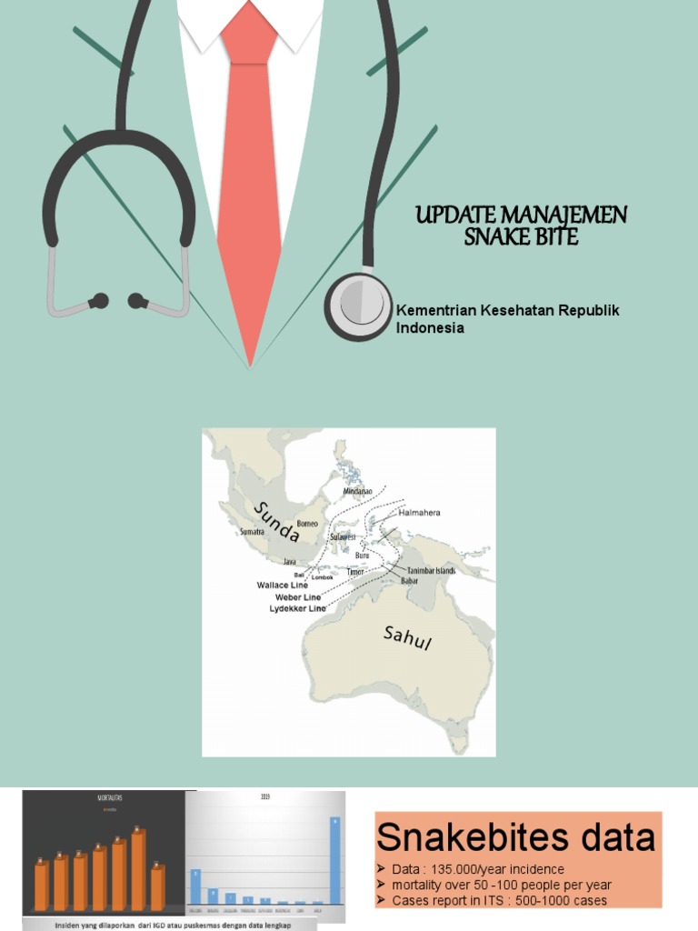 Snake Bite | PDF | Venomous Snakes | Snake