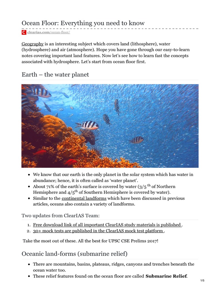 Ocean Floor Everything You Need To Know | PDF | Continental Shelf | Seabed