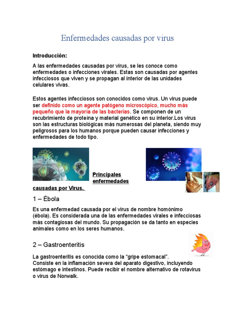Enfermedades Virales Comunes y Peligrosas | PDF | Virus | Infección