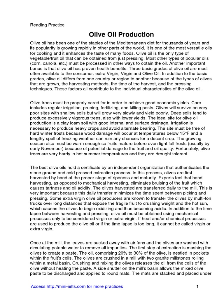 Olive Oil Production | PDF | Olive | Olive Oil