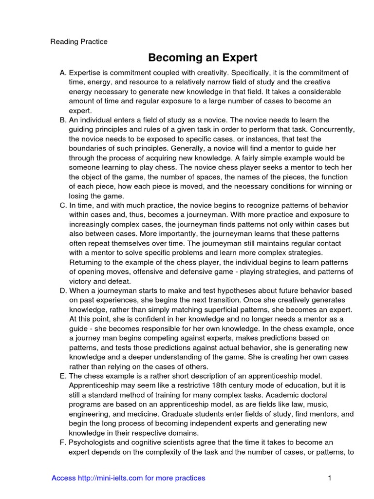 Becoming An Expert | PDF