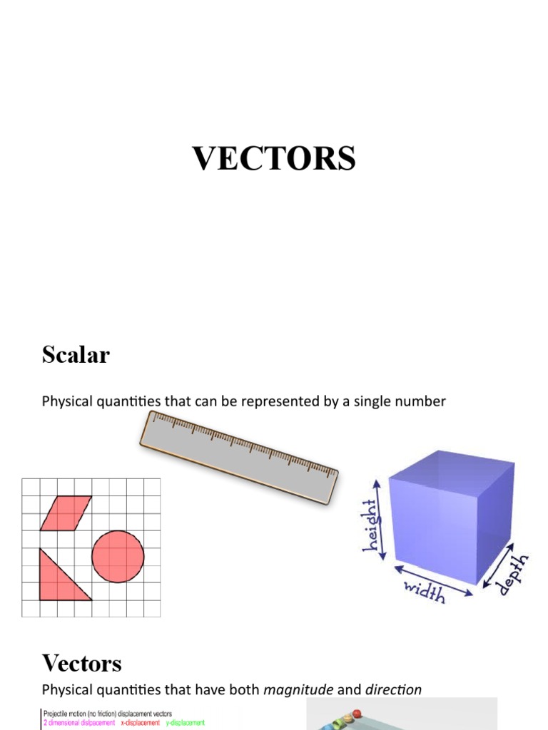 Vectors Pdf Euclidean Vector Velocity