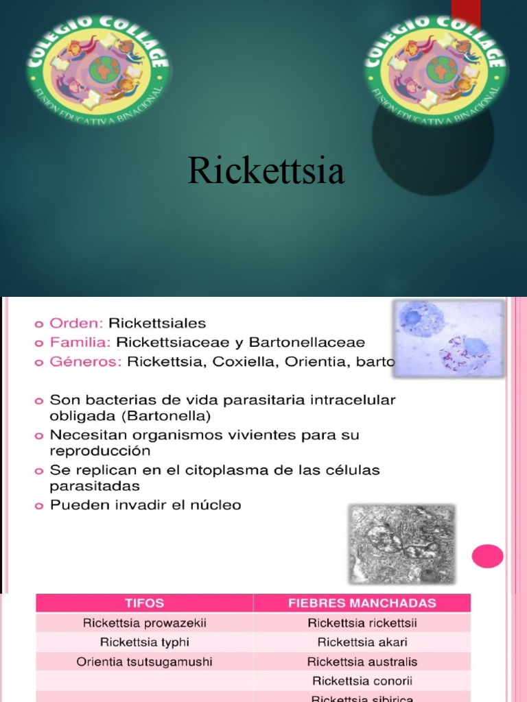 Rickettsia | PDF