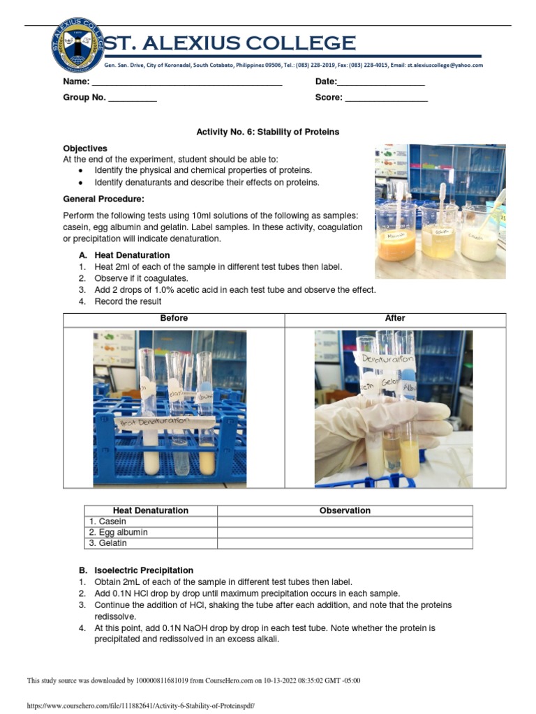 Activity 6 Stability of Proteins PDF | PDF | Denaturation (Biochemistry) | Precipitation (Chemistry)