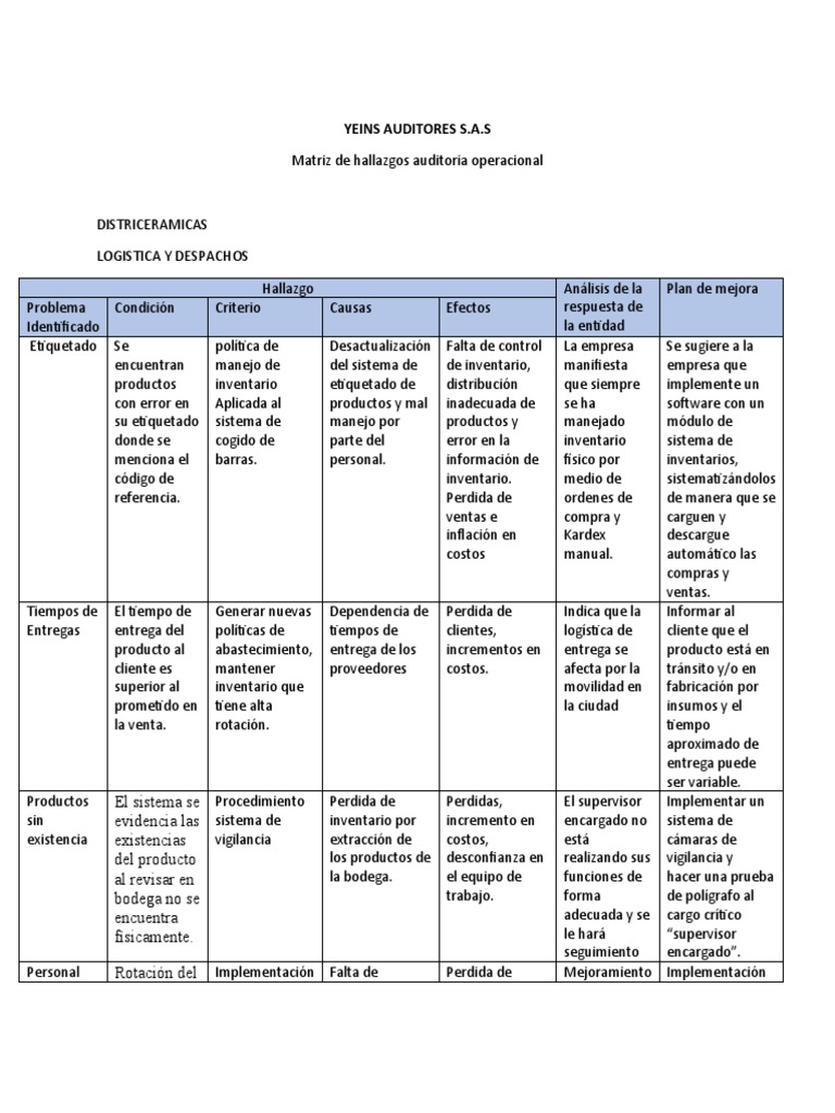Plantilla para Auditar | PDF | Auditoría | Inventario