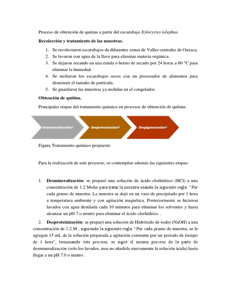 Obtención de quitina de Xyloryctes telephus | PDF | Ciencia y matemáticas