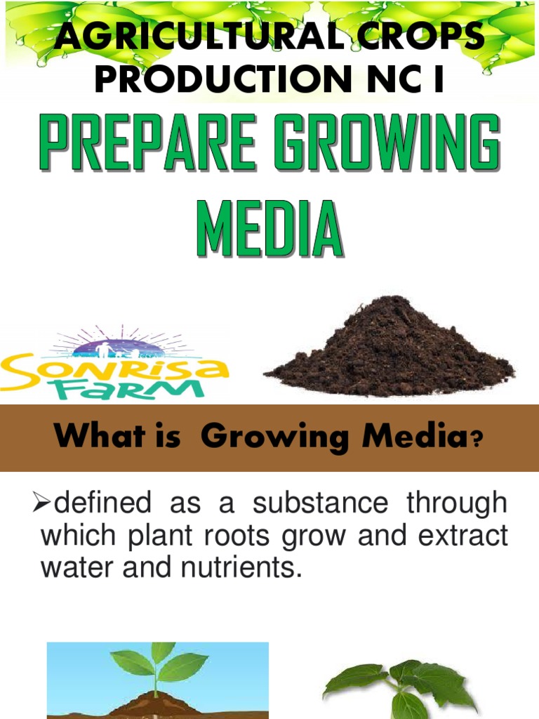 Growing Media Types and Functions | PDF | Hydroponics | Soil