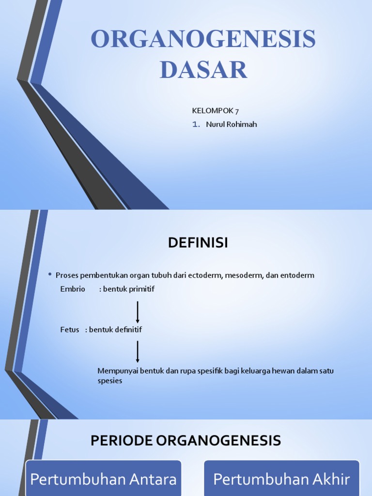 Proses Organogenesis pada Embrio Hewan | PDF | Griya & Taman | Sains ...