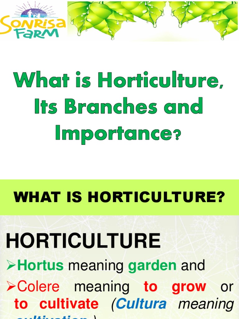 Horticulture Definition and Its Branches | PDF | Horticulture | Floristry