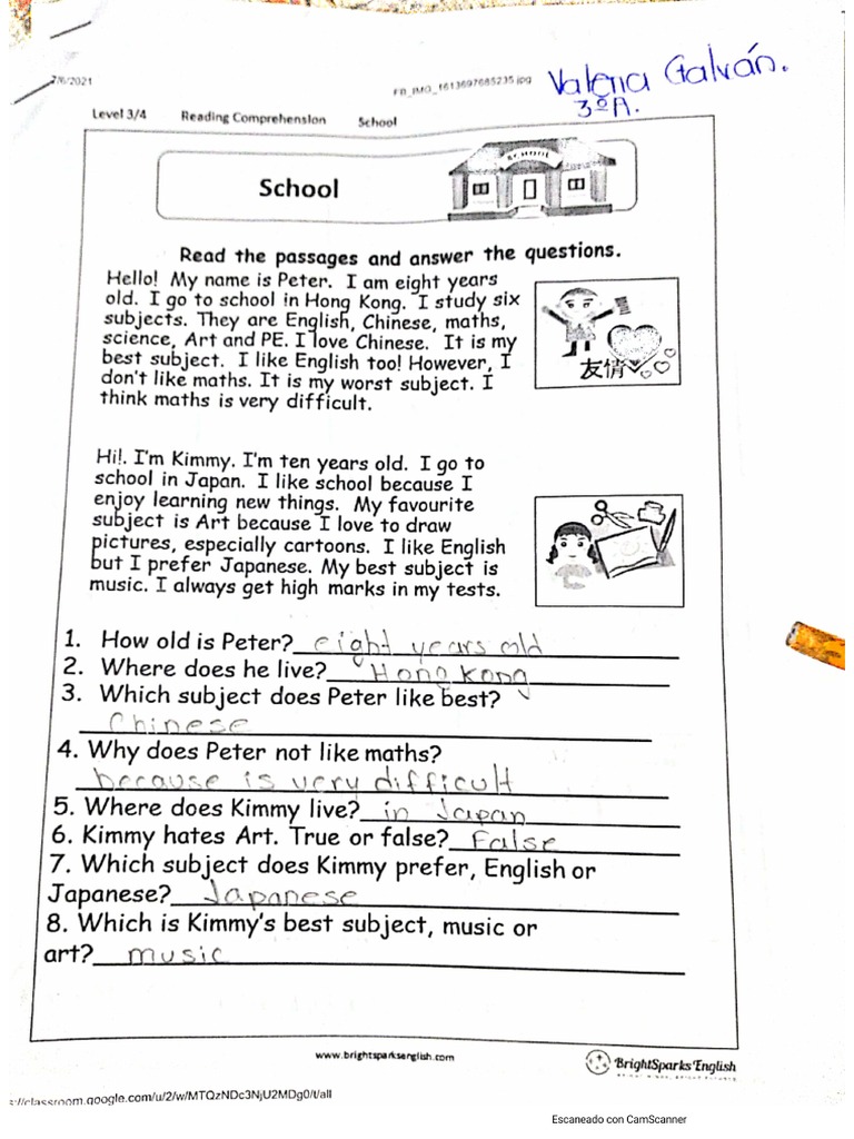 Reading Comprention and Personal Pronouns | PDF