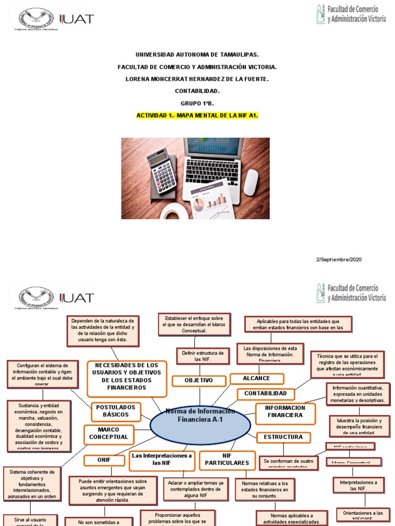 Mapa Mental de la NIF A-1: Estructura y Elementos | PDF | Estado ...
