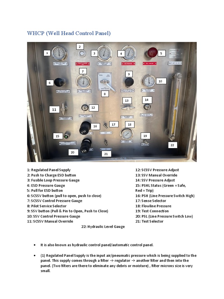 Well Head Control Panel | PDF | Chemical Engineering | Mechanical ...