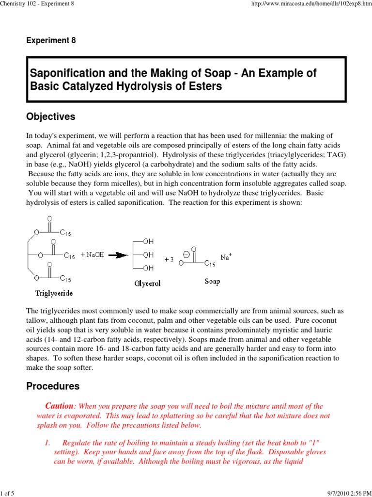 Saponification and The Making of Soap | PDF