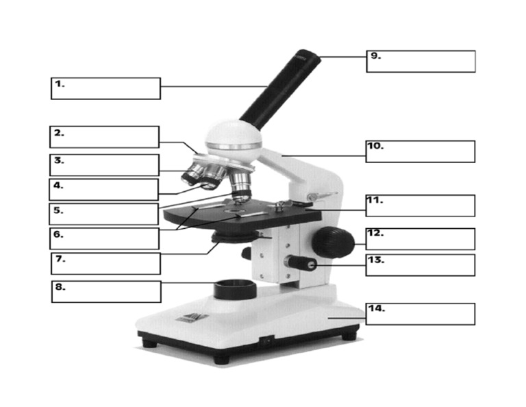 Microscope With Blank Labels | PDF
