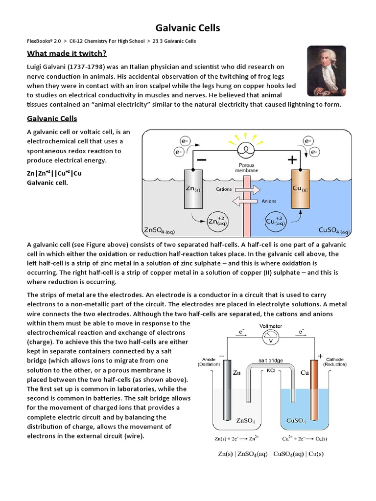 Galvanic Cells intro | PDF | Electrochemistry | Redox