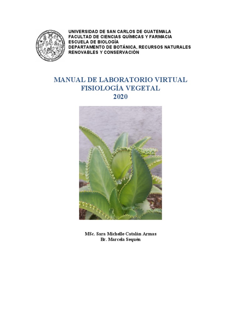 Manual Laboratorio Virtual Fisiología Vegetal 2020 | PDF | Estoma ...