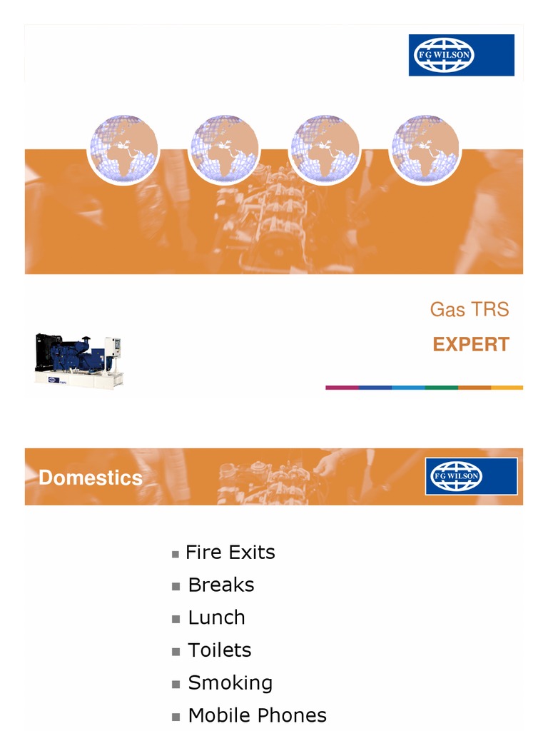 Perkins 4000 TRS Gas Engine Presentation | PDF | Biogas | Cogeneration