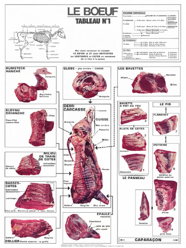 Élevage - Découpe de Viande | PDF