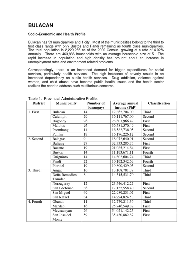 Bulacan Health Sector Overview 2023 | PDF | Hospital | Public Health