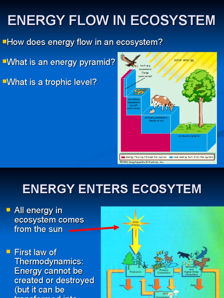 Energy Flow | PDF