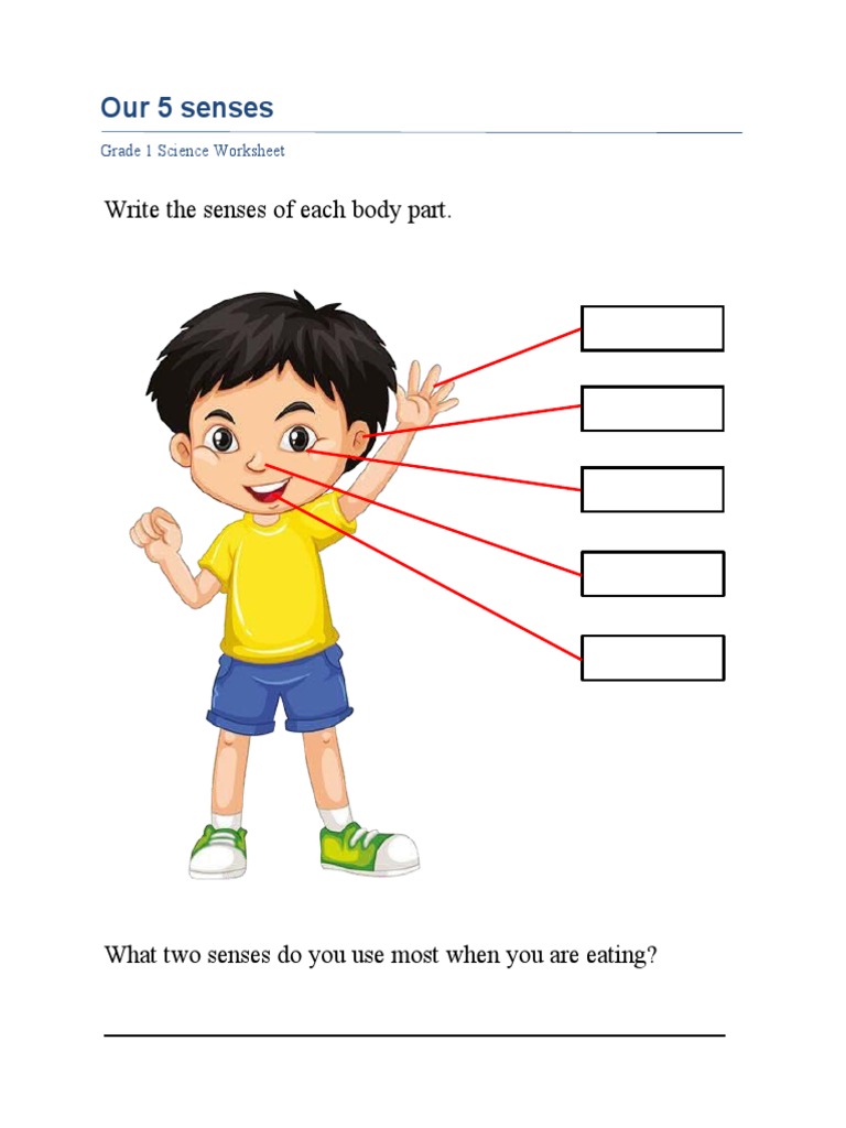 Our Sense Grade 1 | PDF