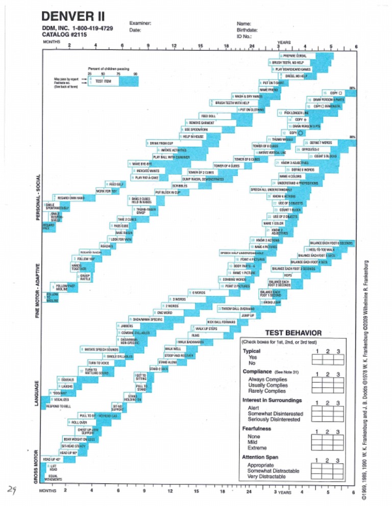 DENVER II Form PG 1 | PDF