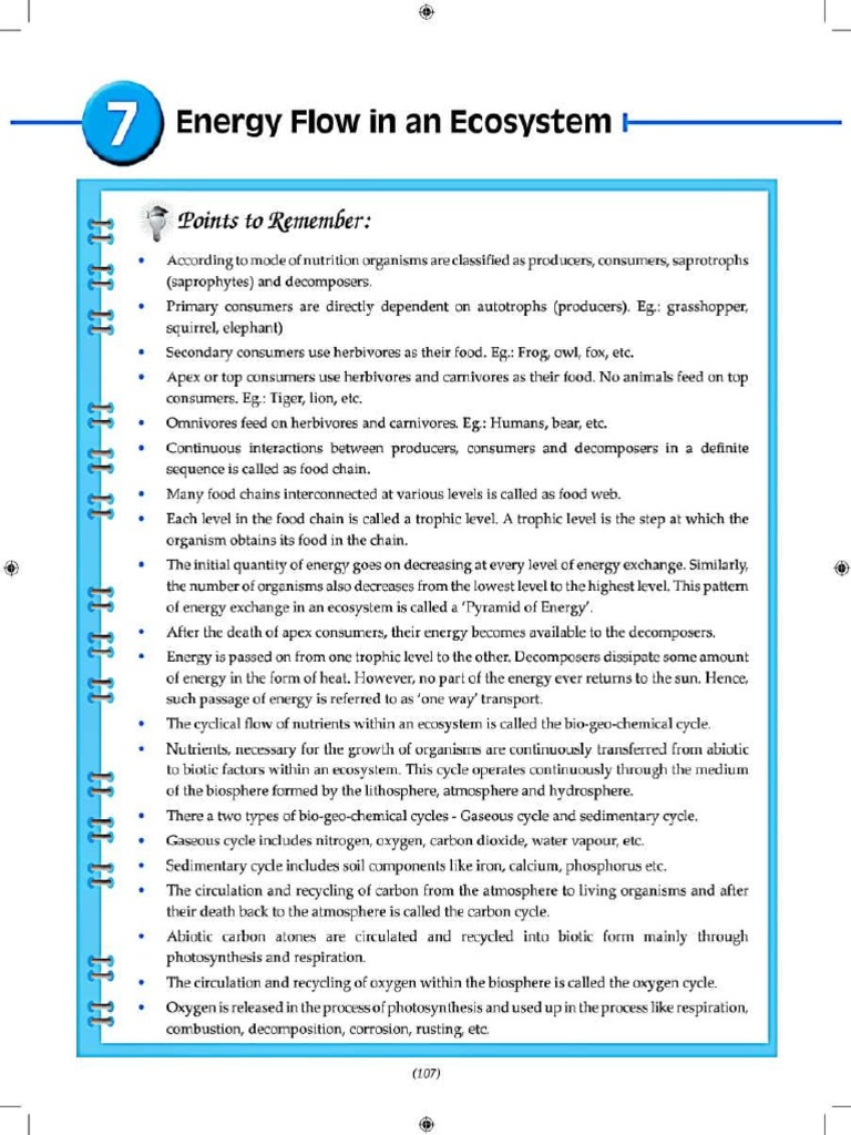 Science Lesson No 7 | PDF