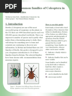 Ent 425 Insect Collection Labels | PDF | Typefaces | Insects