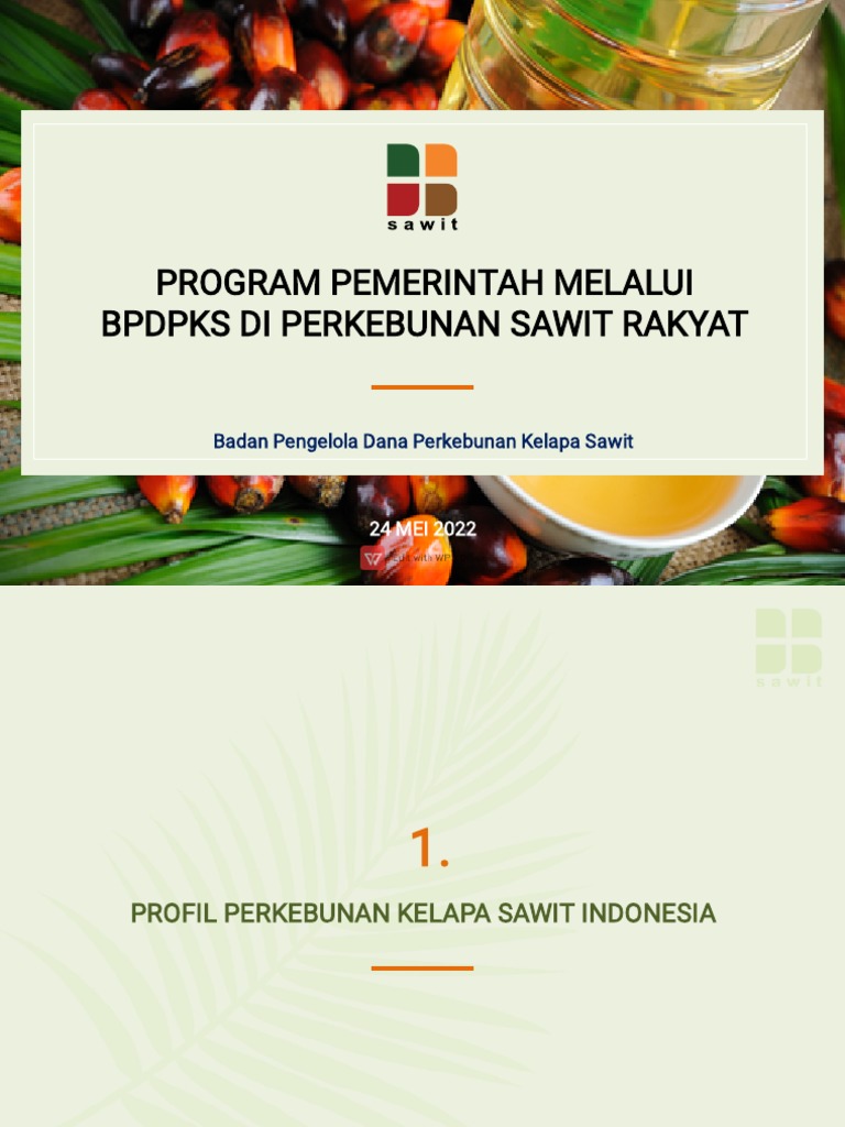 Bahan Medbun Series 5 - Program BPDPKS Di Perkebunan Sawit Rakyat | PDF