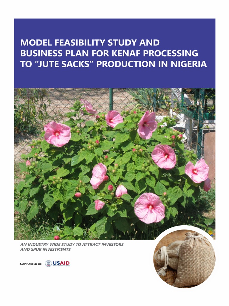 Model Feasibility Study and Business Plan For Kenaf Development ...