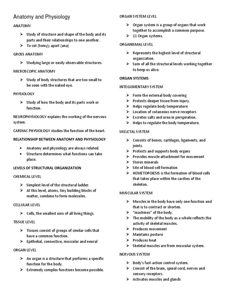AnaPhy Cells and Tissue | PDF | Epithelium | Human Body